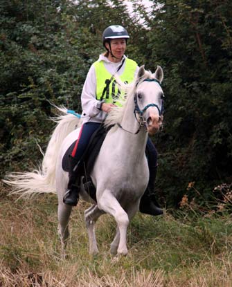 Gadebrook Arabian Stud, Tansor Lodge Farm, Nr Oundle, Peterborough