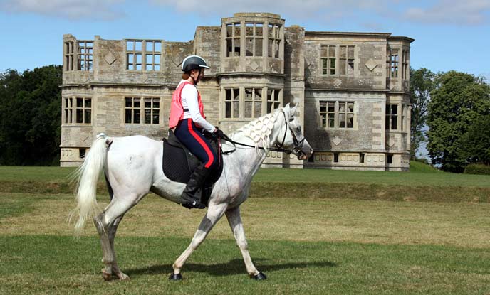Gadebrook Arabian Stud, Tansor Lodge Farm, Nr Oundle, Peterborough