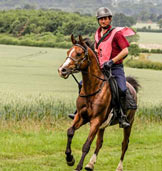 Gadebrook Arabian Stud, Tansor Lodge Farm, Nr Oundle, Peterborough, England